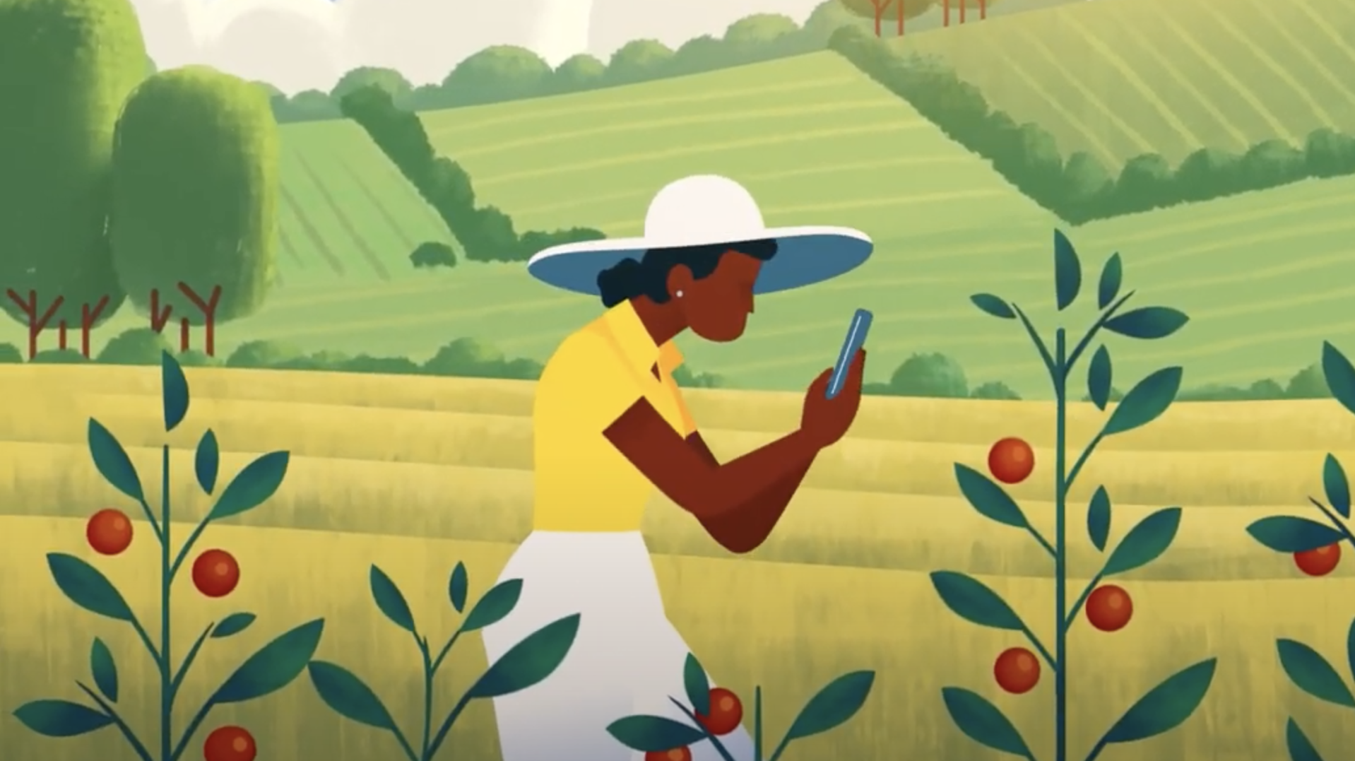 An App That Identifies Plant Diseases And Diagnoses Plant Problems Agrio An App That Identifies Plant Diseases And Diagnoses Plant Problems Agrio