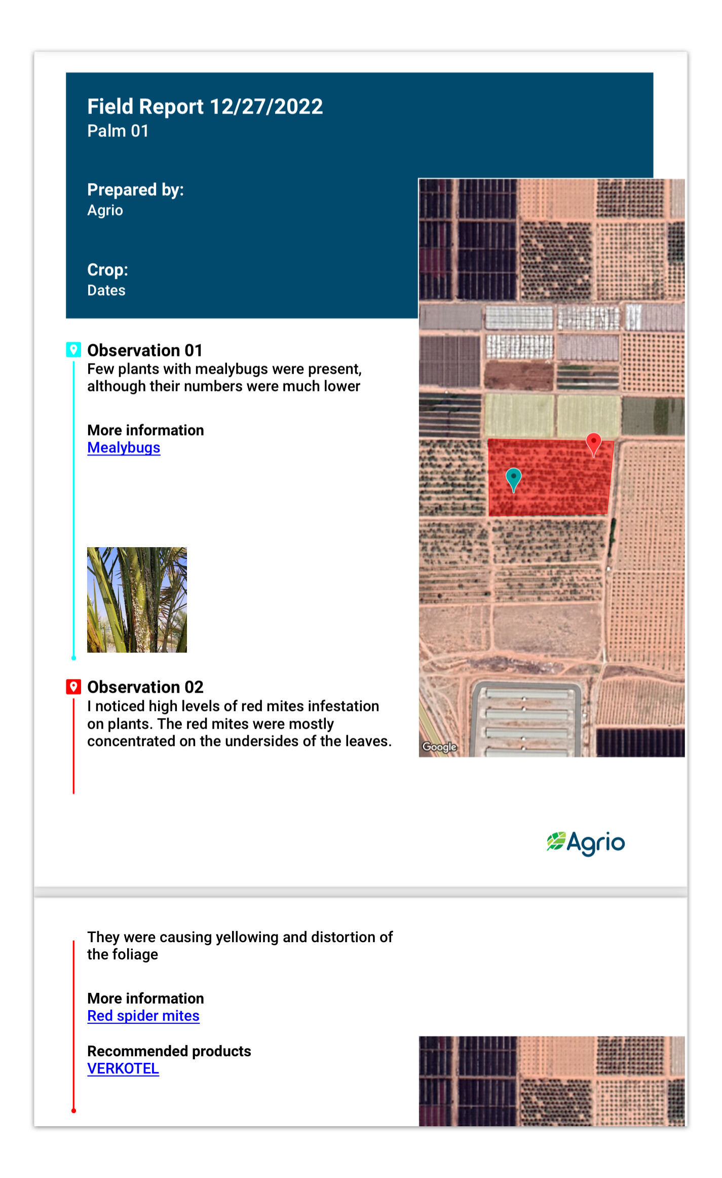 Getting started with digital crop scouting | Agrio